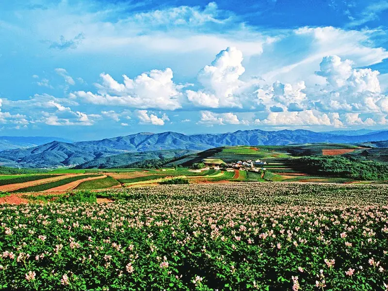 Kunming Travel Guide: Top Attractions, Hidden Gems & Best Experiences